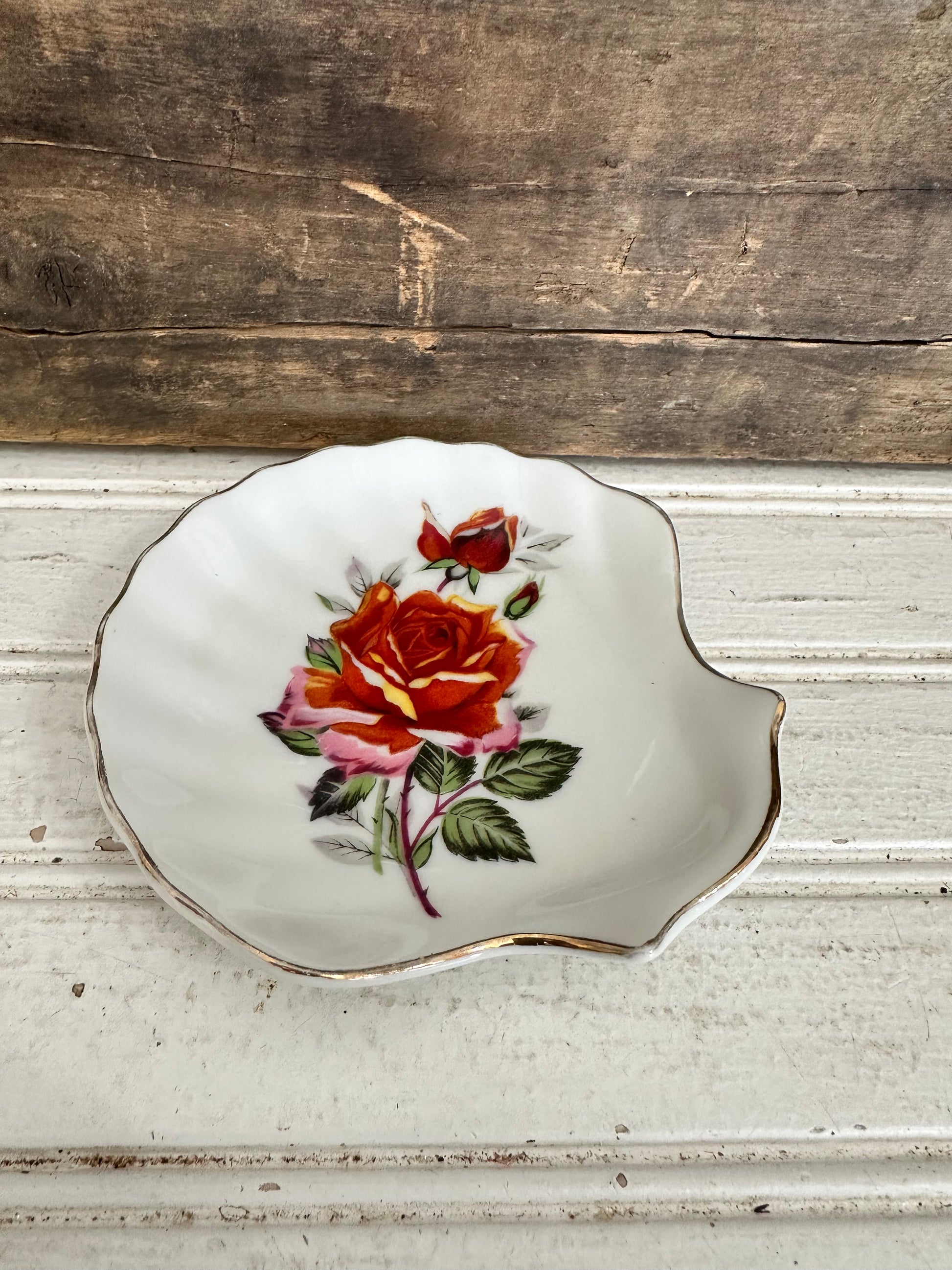 Shell Trinket dish – The Pelican Girls