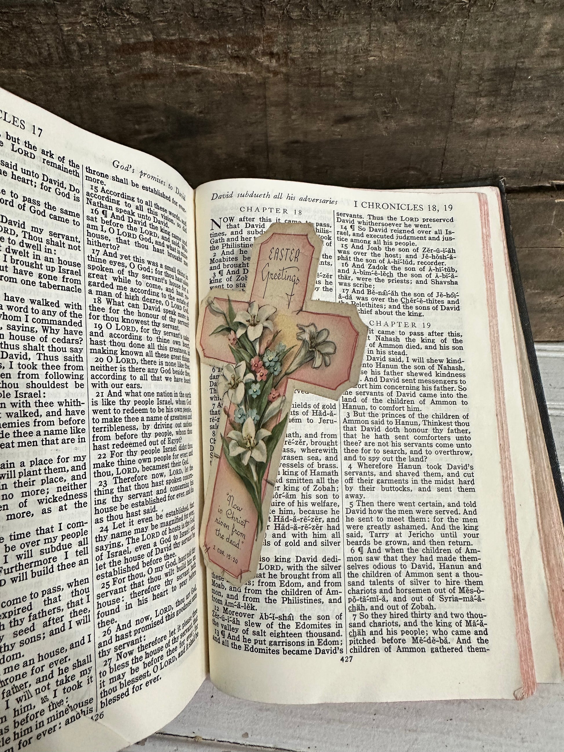 Holy Bible – The Pelican Girls