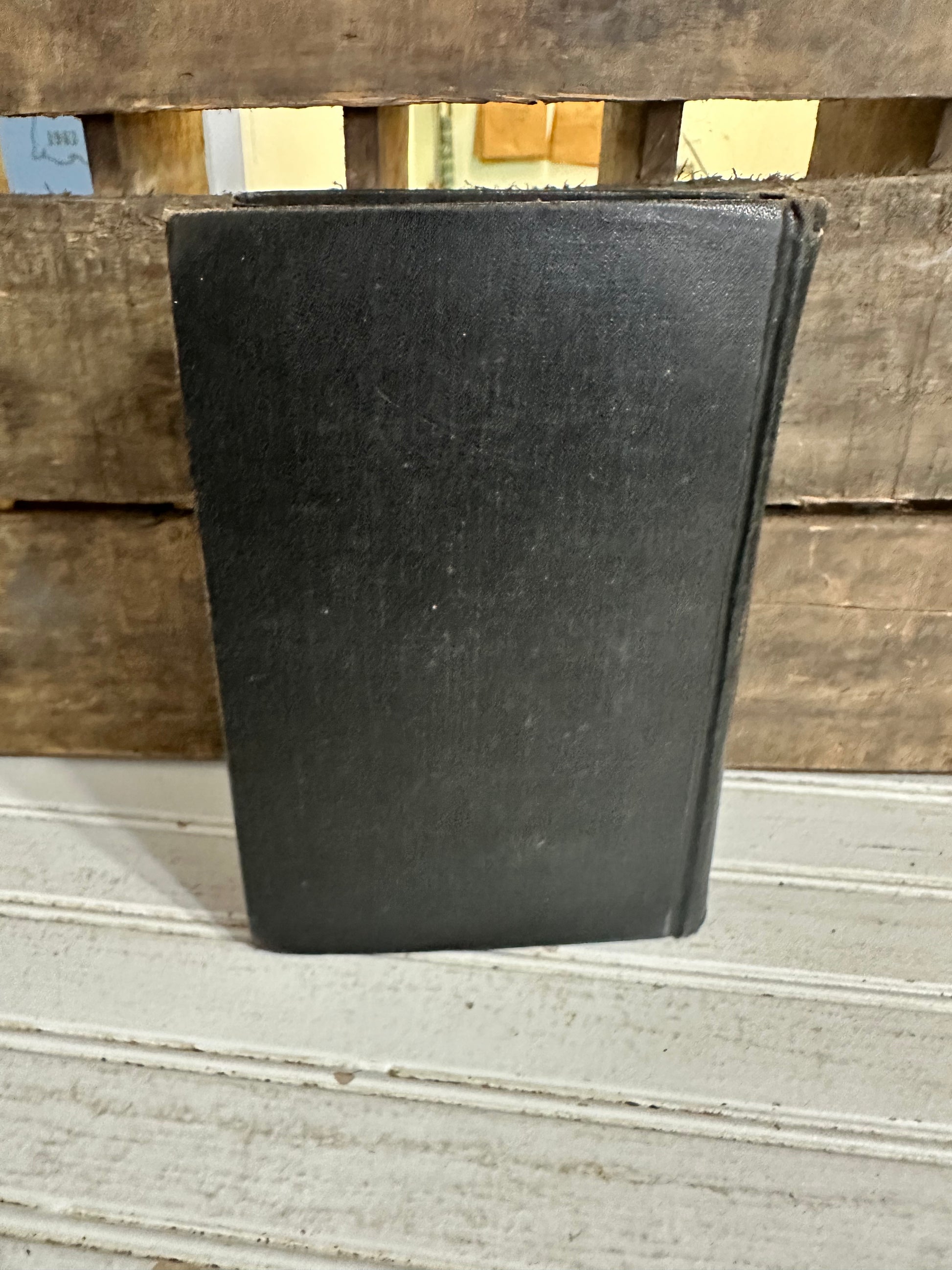 Holy Bible – The Pelican Girls